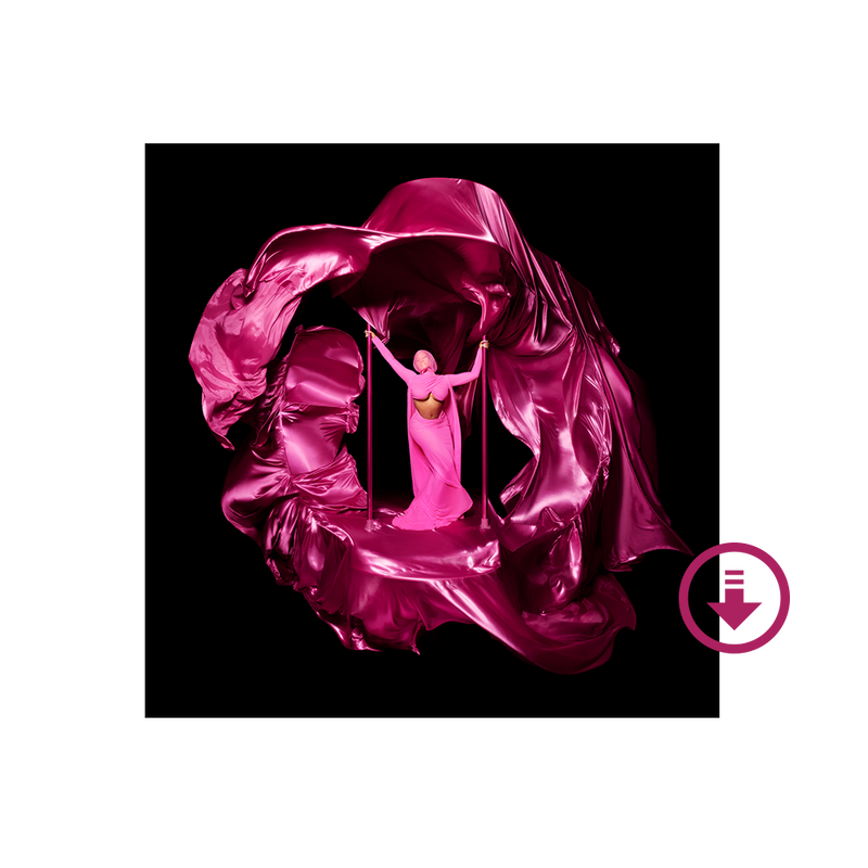 Pink Friday 2 (D2C Version 1) Digital Album - NICKI MINAJ STORE